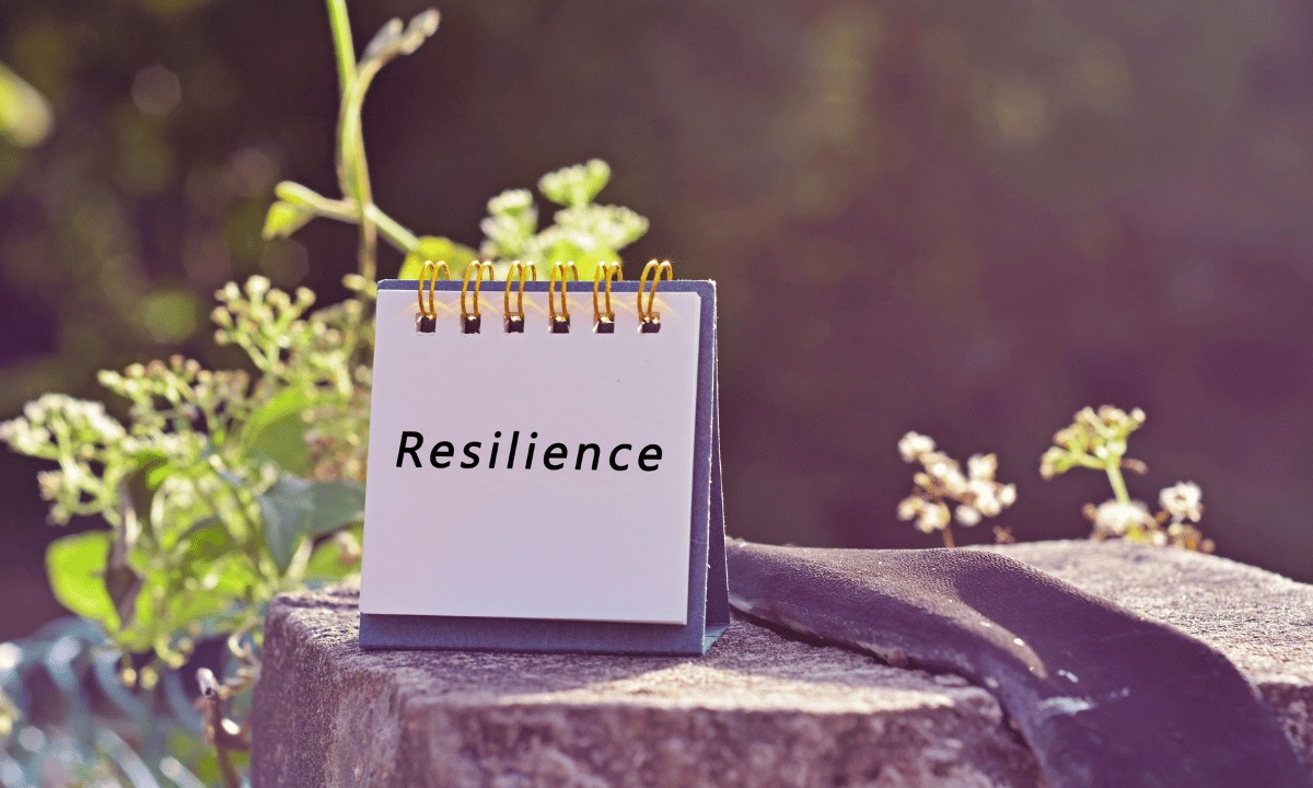 El Poder de la Resiliencia: Cómo Fortalecer tu Mente Frente a los Desafíos de la Vida - Mente ...